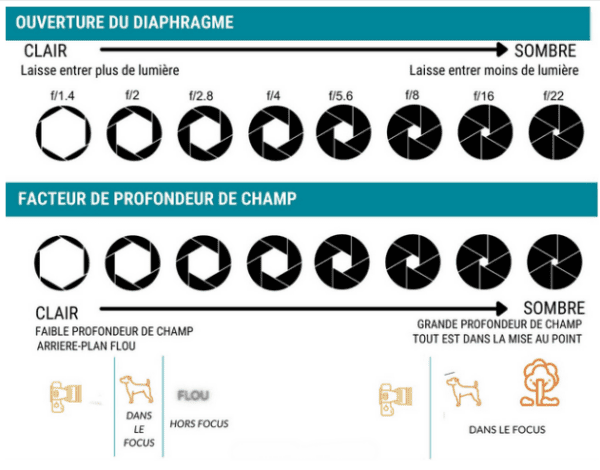 Découvrez comment maîtriser le bokeh en photographie